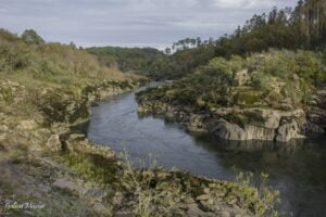 Desembocadura del río Cea | GALICIA MÁXICA