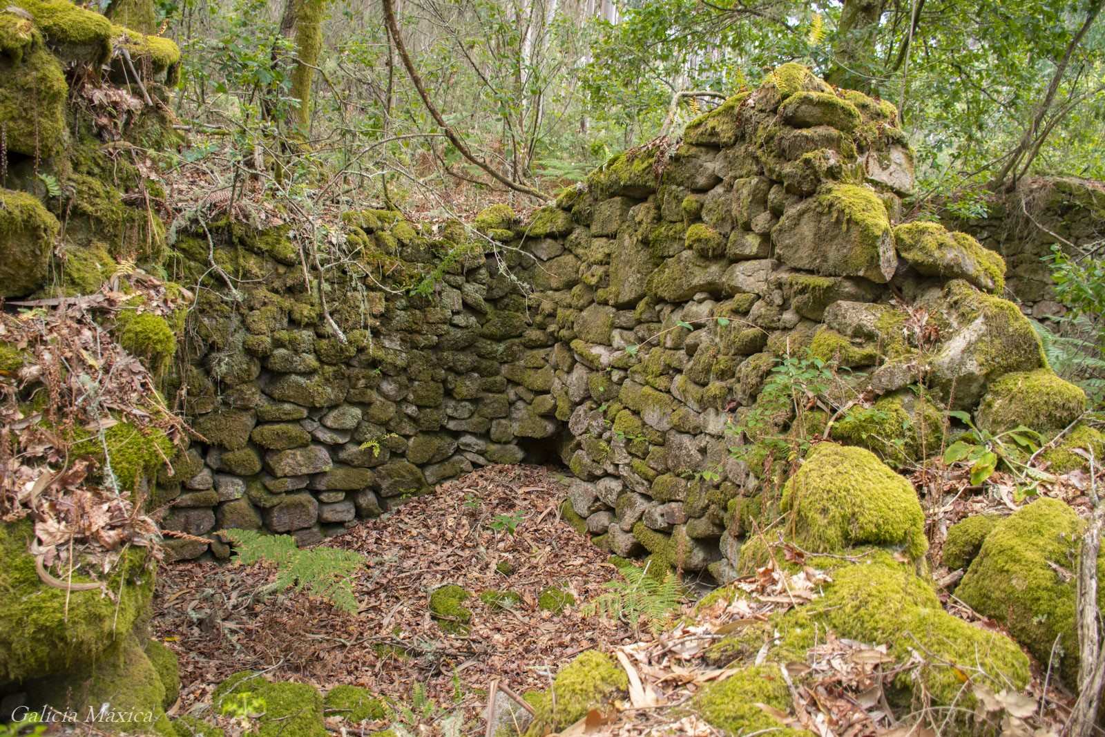 Restos - Monasterio de Santa Leocadia de Guillade | GALICIA MÁXICA