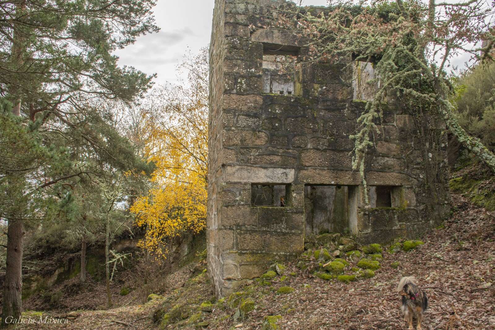Minas de wolframio de Gomariz - Baltar | GALICIA MÁXICA