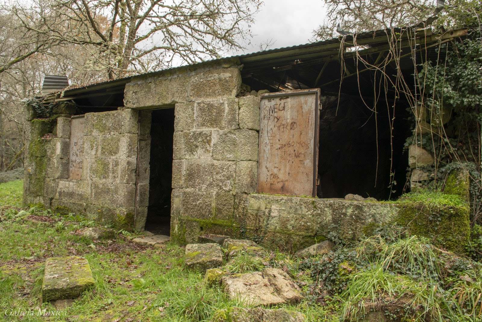 Fonte Bañiño | GALICIA MÁXICA